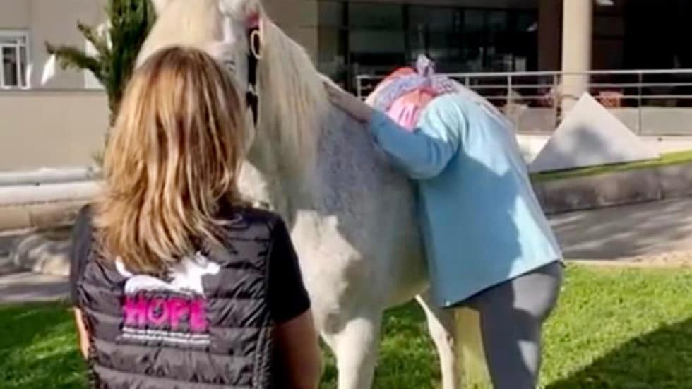 Hope : un 72H CHRONO pour l'équithérapie - Lyon Demain